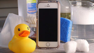 What is the Dirtiest Thing you Touch Everyday? | Bucktail Medical Center